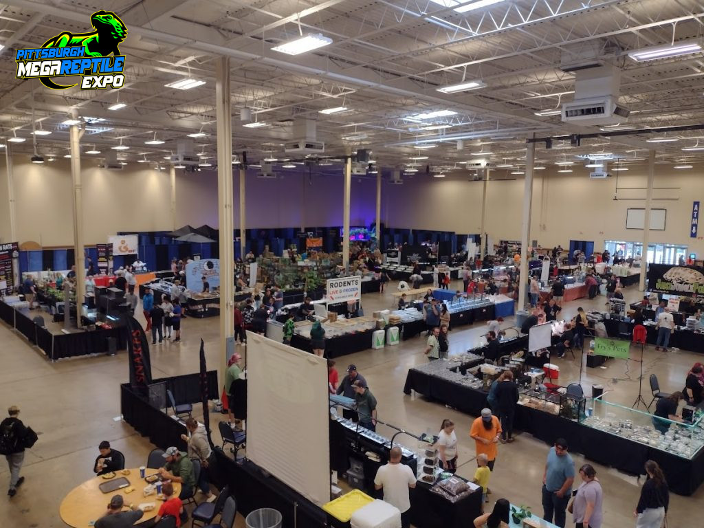 Pittsburgh Mega Reptile Expo – Unleash the Wild at Pittsburgh’s Premier ...