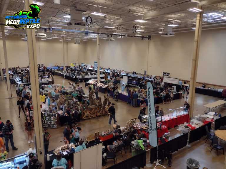 Pittsburgh Mega Reptile Expo – Unleash the Wild at Pittsburgh’s Premier ...