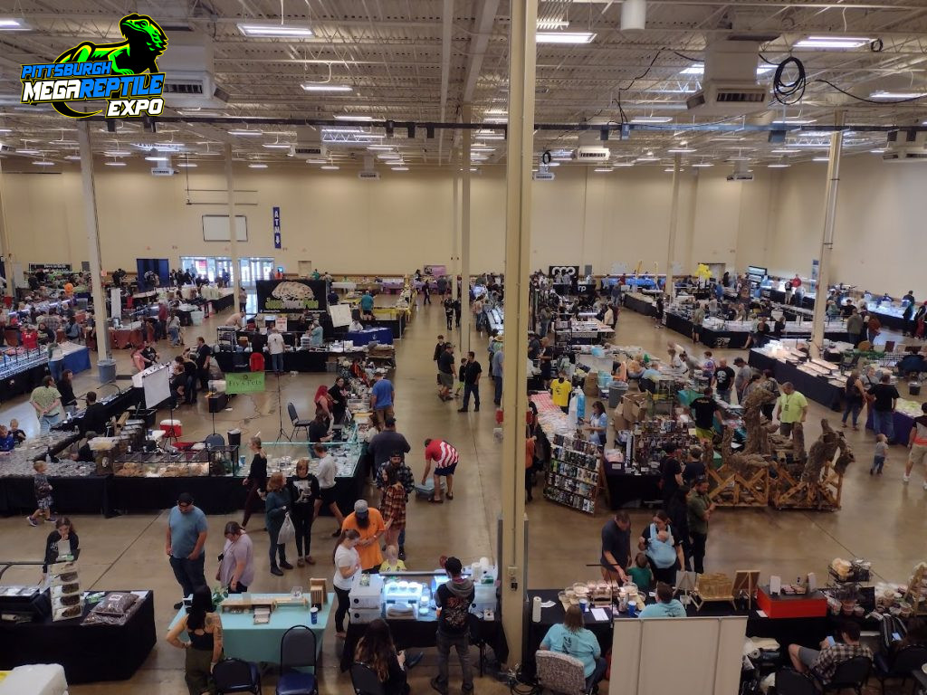 Pittsburgh Mega Reptile Expo – Unleash the Wild at Pittsburgh’s Premier ...